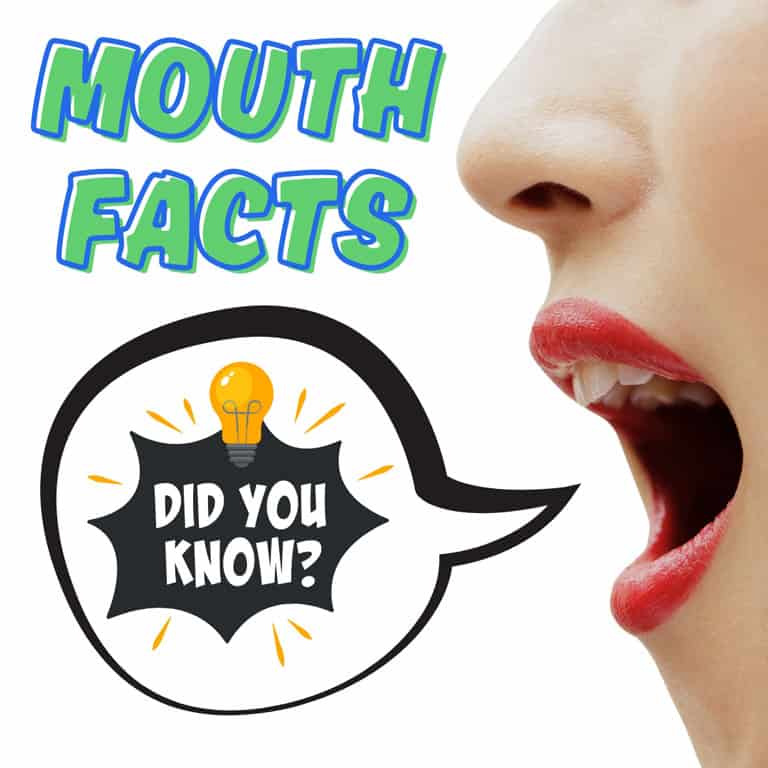 Mouth Facts — So Many Molars